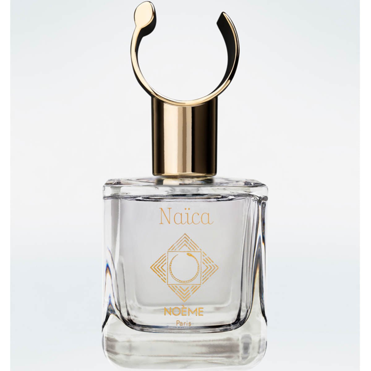 Noeme Paris Naica For Unisex EDP 100Ml – DiscountStore