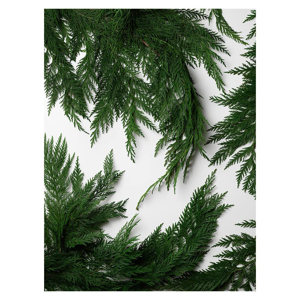 ralph lauren Polo Deep Blue For Men Parfum 125 ml – Discount Store