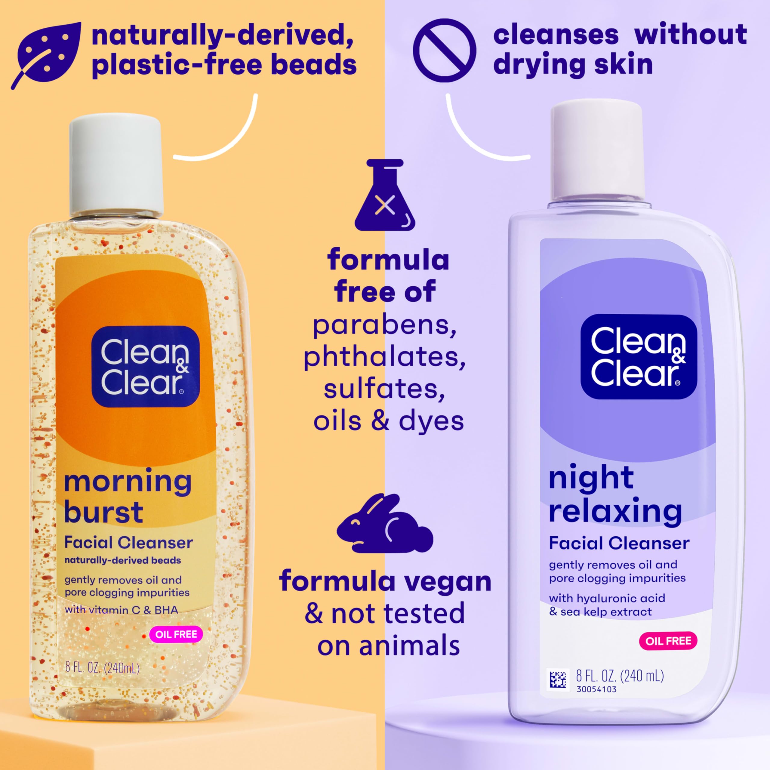 Clean & Clear 2-Pack Day and Night Face Cleanser Citrus Morning Burst ...
