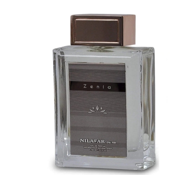 Zenia Silver Parfum 100ml – DiscountStore